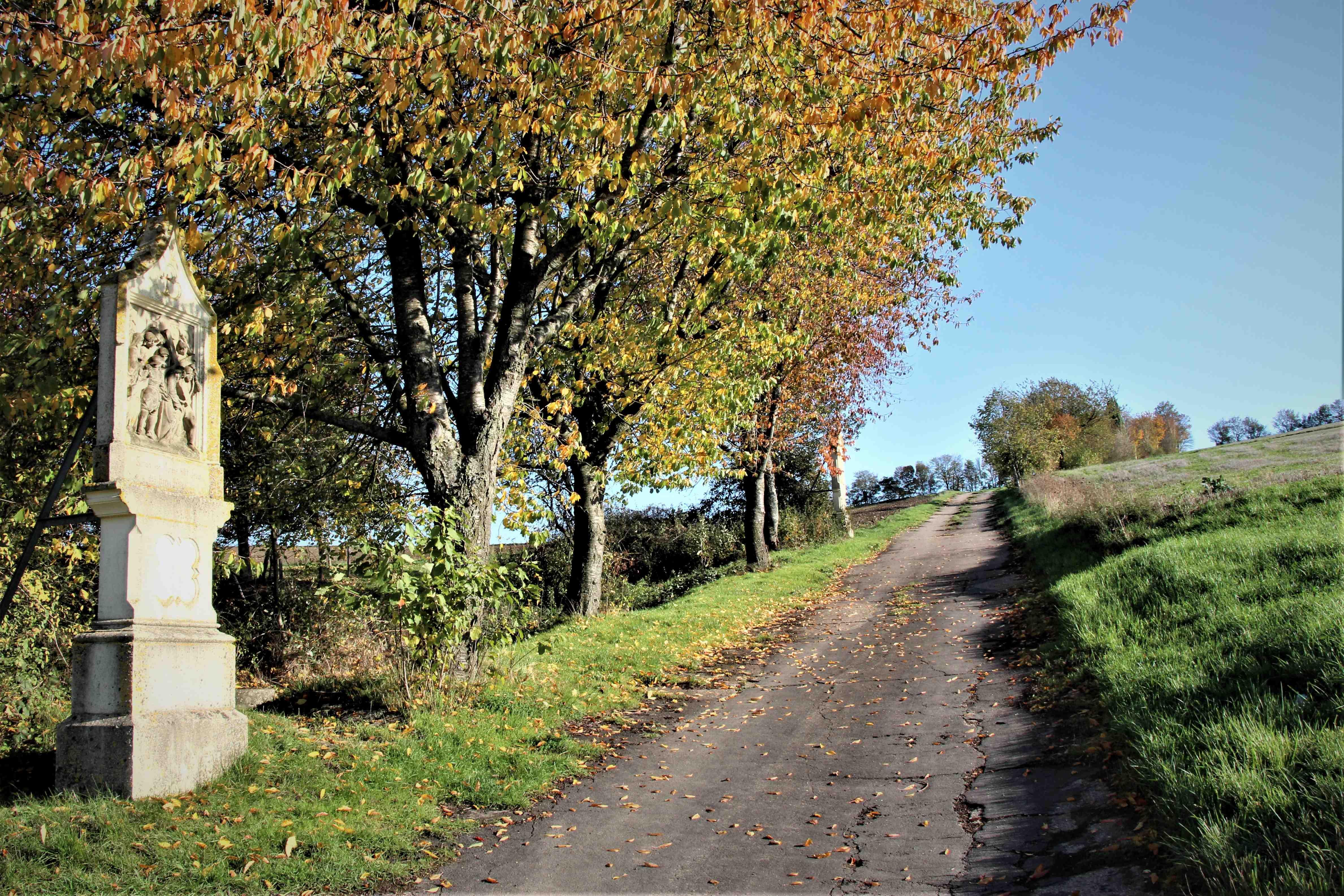 tarforst_02